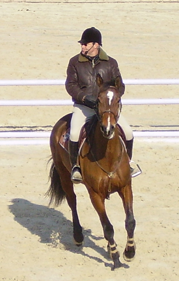 UN VICE-CHAMPION OLYMPIQUE AU HARAS DE BRESSAC | PRIVAS ÉQUITATION